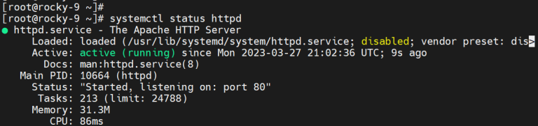 How to Host A Website On Your Home Linux System for Free