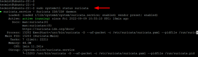 Suricata - Intrusion Detection and Prevention Security Tool