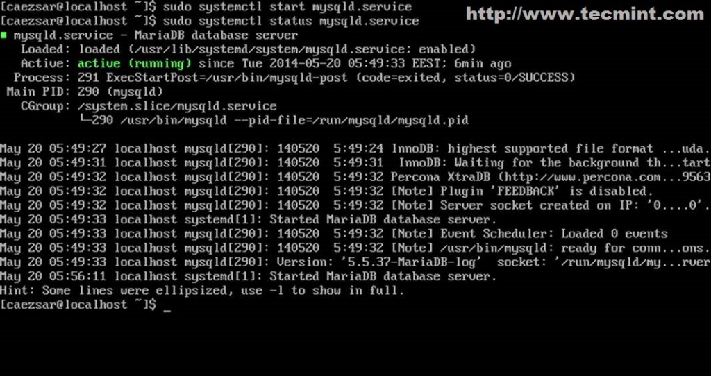 Installing Lamp Linux Apache Mysqlmariadb And Phpphpmyadmin In Arch Linux