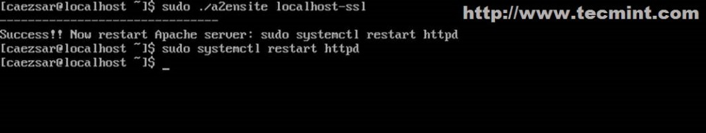 Installing LAMP (Linux, Apache, MySQL/MariaDB, and PHP/PhpMyAdmin) in Arch Linux