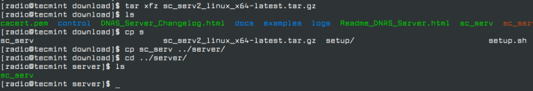 How to Install SHOUTCast Radio Server (Online Media Streaming) on Linux