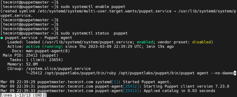 How to Install Puppet Master and Slave in RHEL-Based Systems