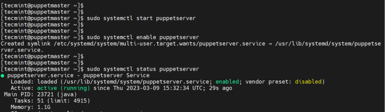 How to Install Puppet Master and Slave in RHEL-Based Systems