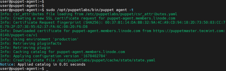 How to Install Puppet Master and Slave in RHEL-Based Systems