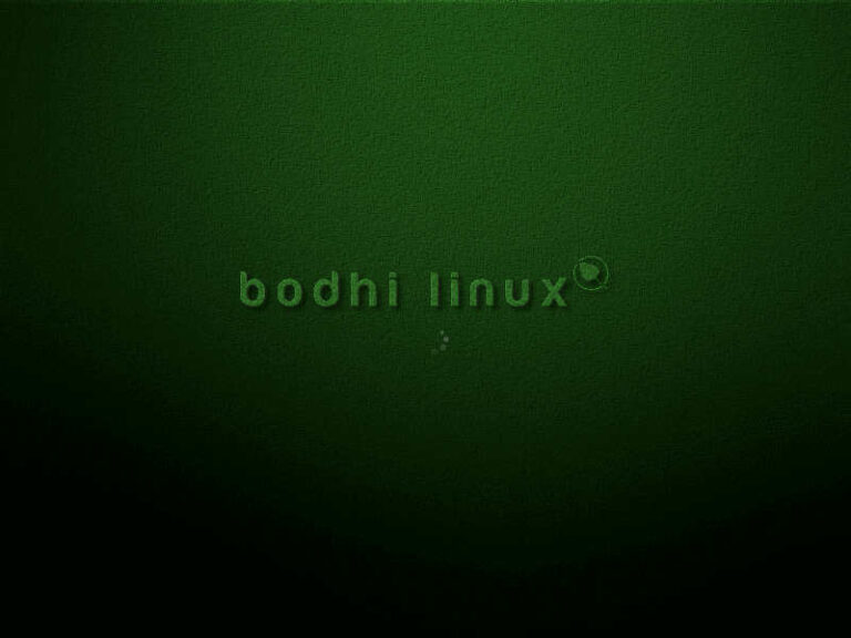 How to Install a Lightweight Bodhi Linux Distro