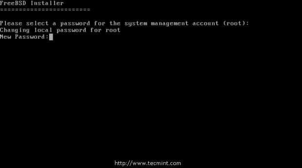 How to Install FreeBSD 14.0 with Static IP Address