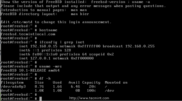 How to Install FreeBSD 14.0 with Static IP Address