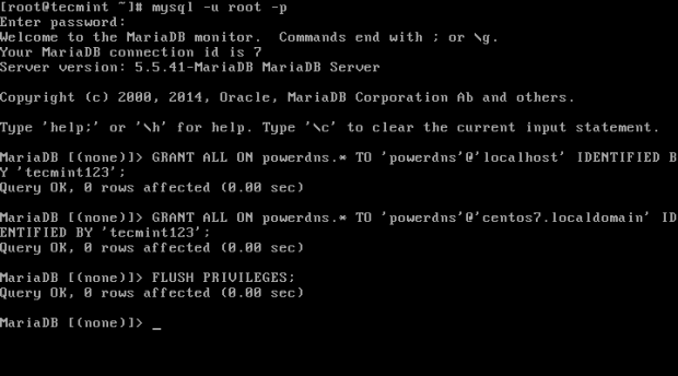 How to Install and Configure 'PowerDNS' (with MariaDB) and 'PowerAdmin ...