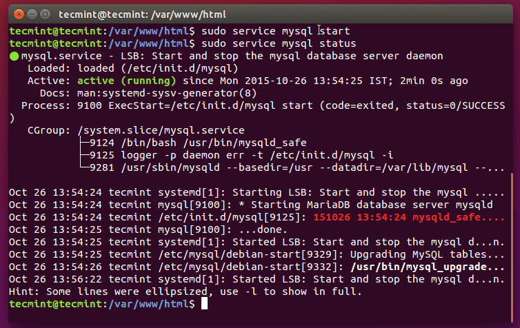 Windows Mariadb Service Not Starting