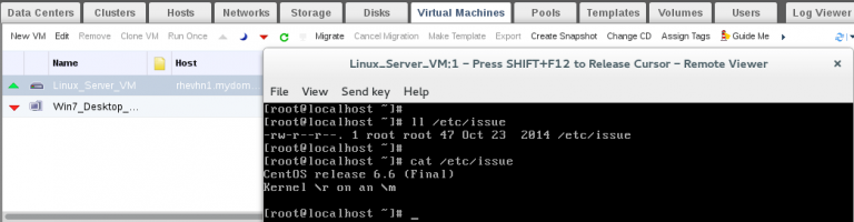 How to Manage RedHat Enterprise Virtualization (RHEV) Virtual Machines ...