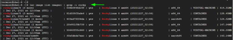 Install LXC (Linux Containers) in RHEL, Rocky & AlmaLinux
