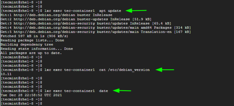 Install LXC (Linux Containers) in RHEL, Rocky & AlmaLinux