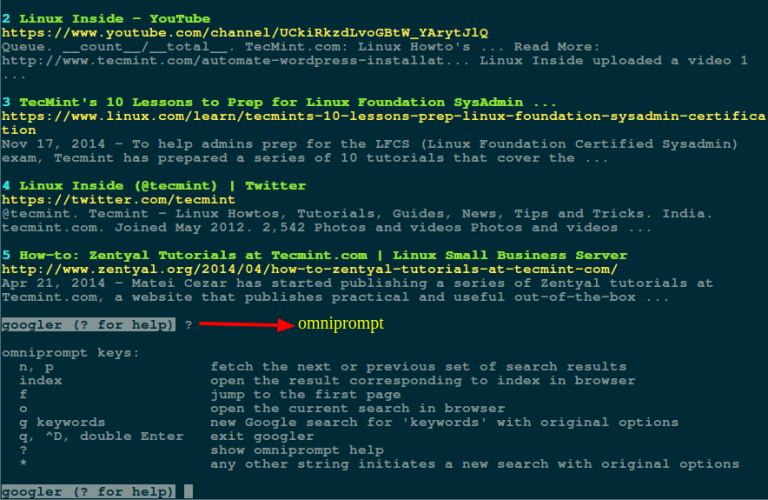 Googler: A Command Line Tool to Do 'Google Search' from Linux Terminal