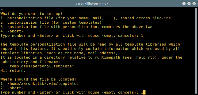 How to Make 'Vim Editor' as Bash-IDE in Linux