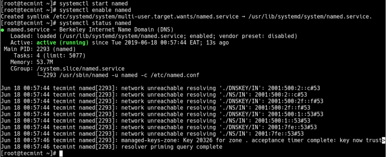 Setting Up Bind As a Private DNS Server on RHEL 8