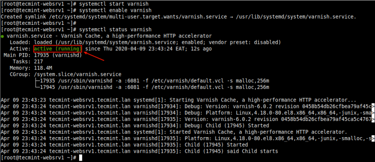 How To Install Varnish Cache 6 for Nginx on CentOS/RHEL 8
