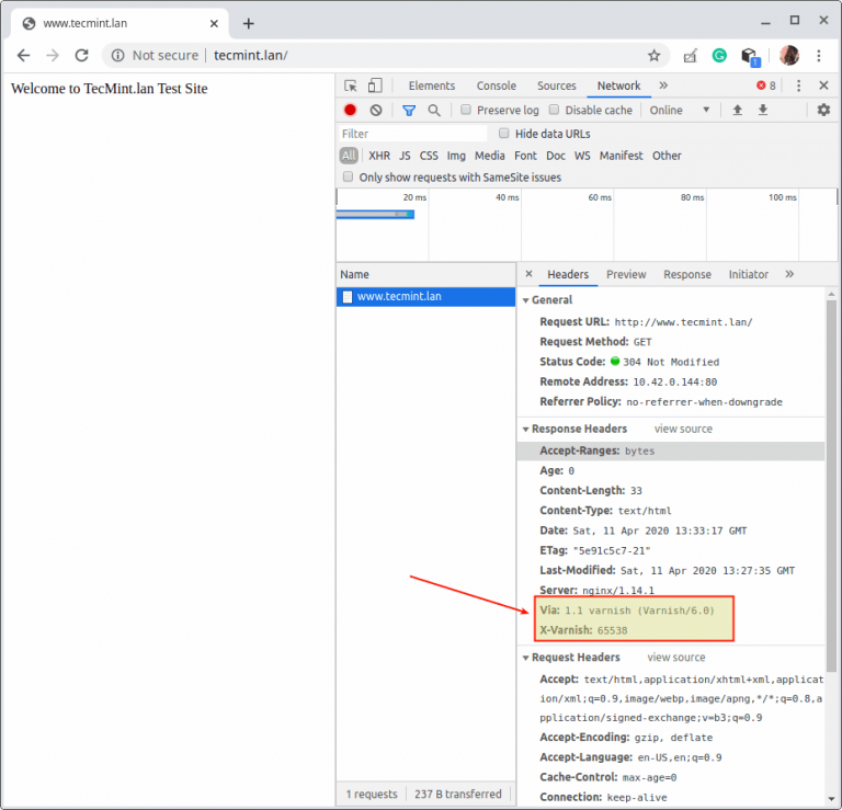 How To Install Varnish Cache 6 for Nginx on CentOS/RHEL 8