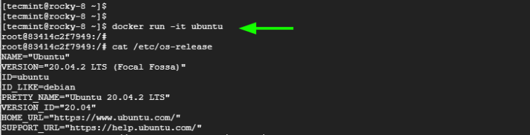 How to Install Docker on Rocky Linux and AlmaLinux